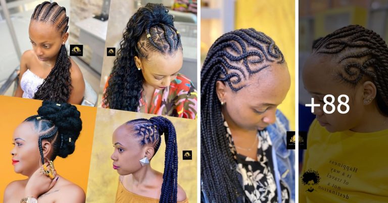 88 Photos: Best Braided Hairstyles for Women – Braids for Women