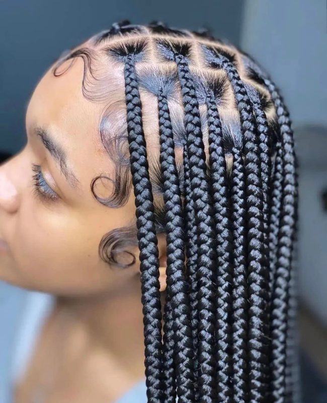 77 Trendy Braids Hairstyles Every Stylish Lady Should Try! (15 ...
