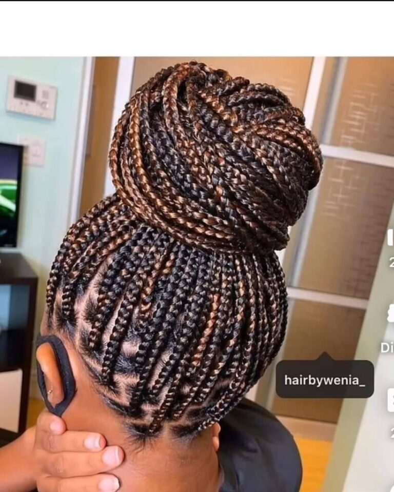 20-PHOTOS-Hairstyles-for-Interviews-_E2_80_93-Box-Knotless-Braided ...