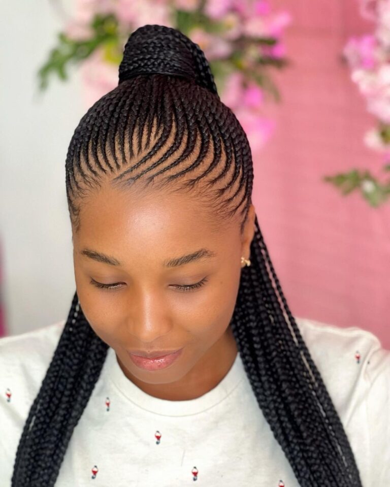 39 Stunning Black Braided Hairstyles for Women to Try This Season (9 ...