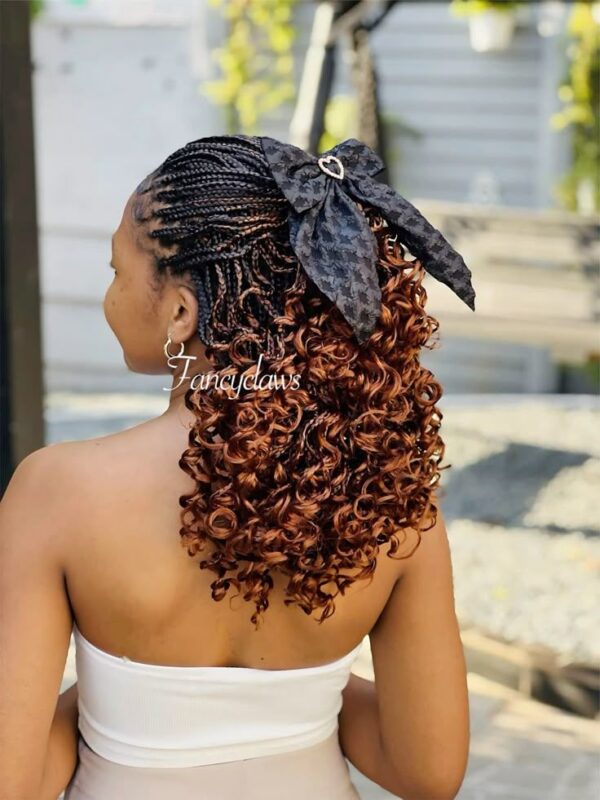 51 Stunning Photos Explore Beautiful Braided Hairstyles for All ...