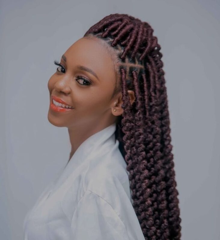 51 Stunning Photos Explore Beautiful Braided Hairstyles for All ...