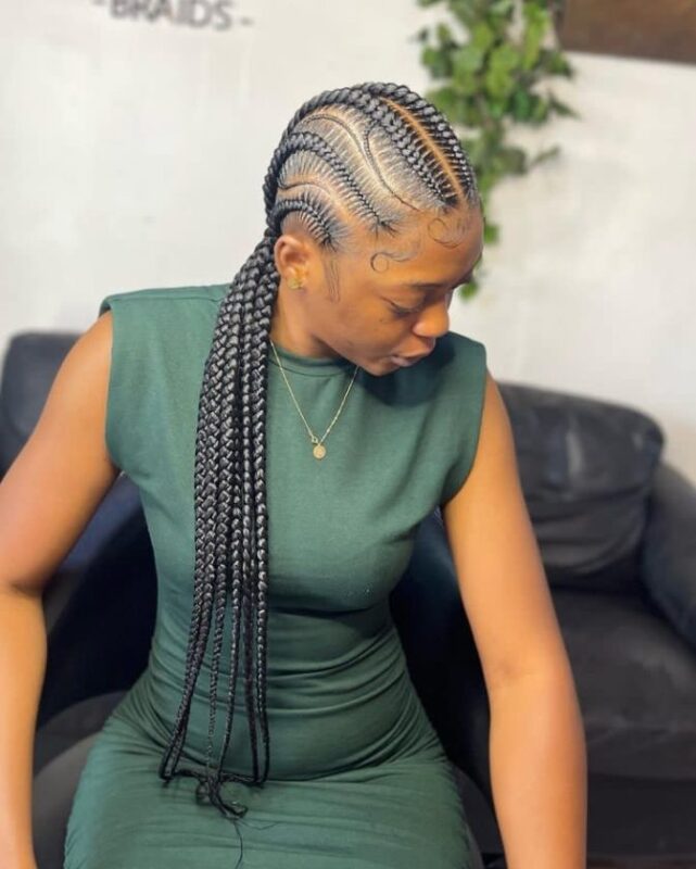 Stylish Braids to Try This Year Top 27 Braided Hairstyles for 2026 (17 ...